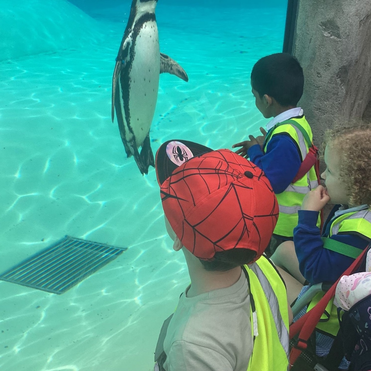 Stanley School - A day at the Zoo